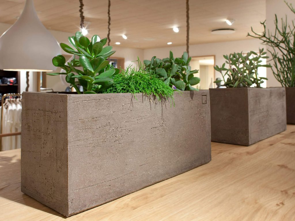 BRL | Light and Style | 라이트앤스타일