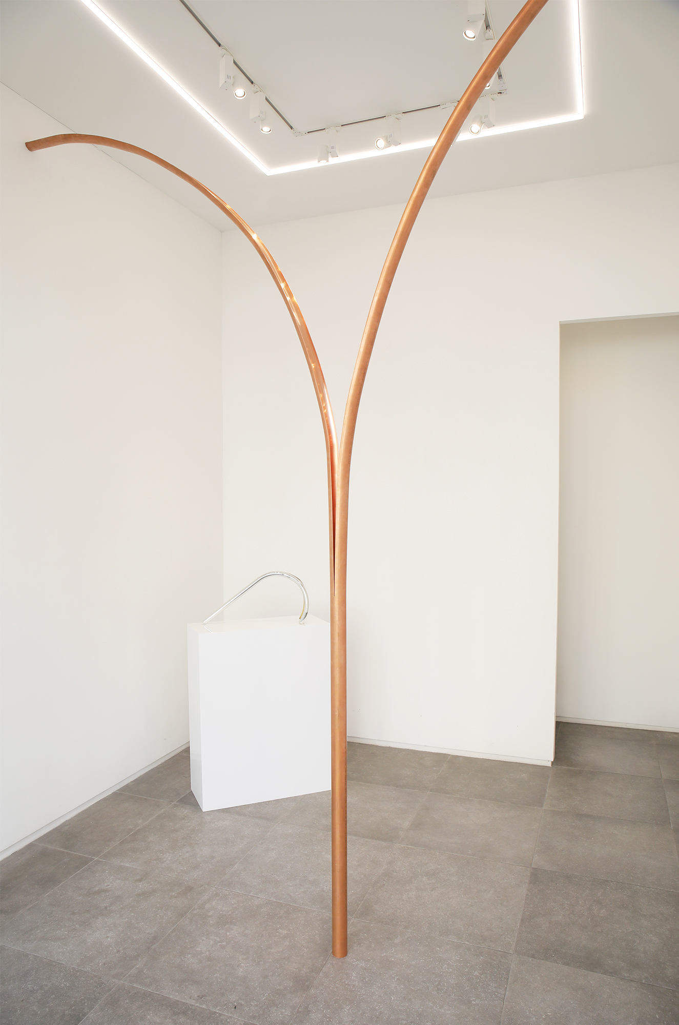 P21 Gallery | Light and Style | 라이트앤스타일